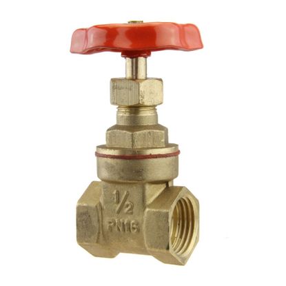 FxF Gate Valve | Plumbing Brassware & Accessories - TYDE